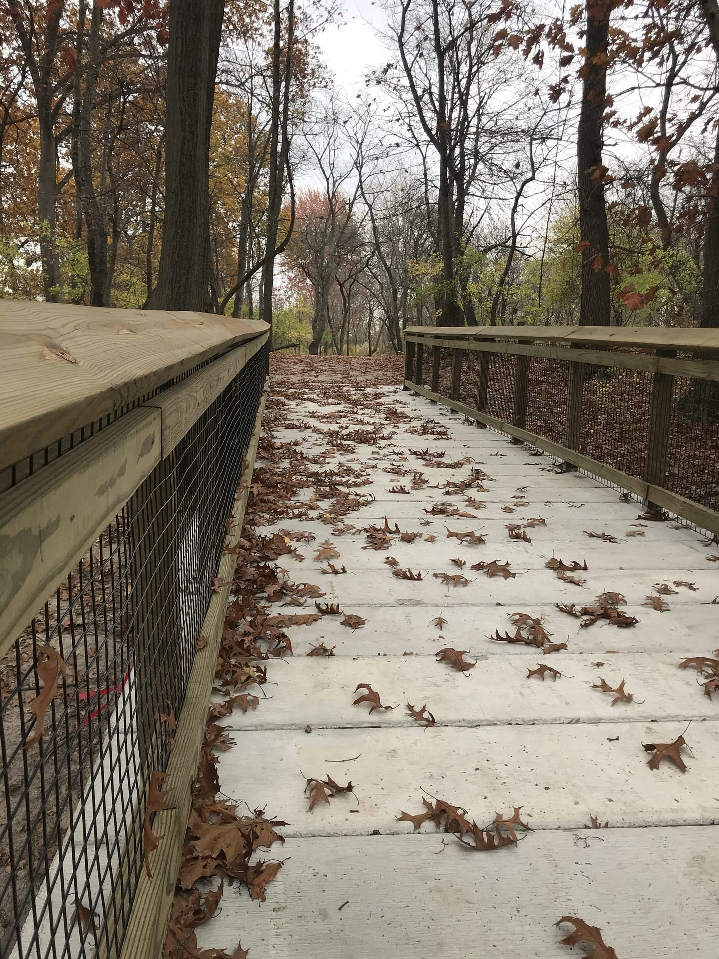 Completed Concrete Boardwalk Projects : TerraTread